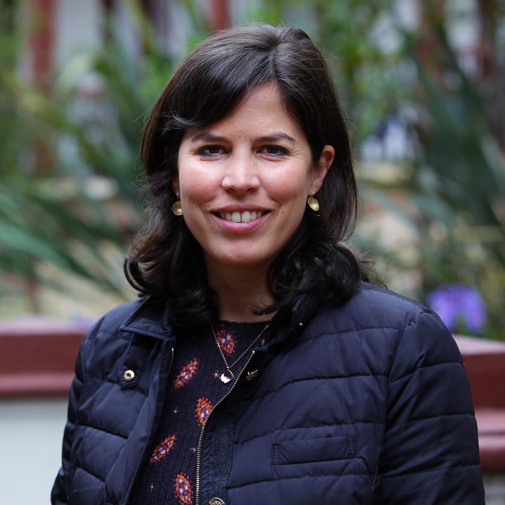 Patricia Zalamea | Art History | Universidad de los Andes